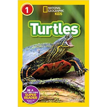 NGR TURTLES 进口儿童绘本