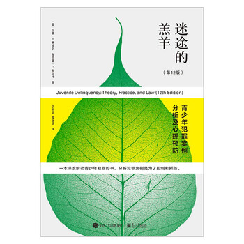 迷途的羔羊：青少年犯罪案例分析及心理预防（第12版）
