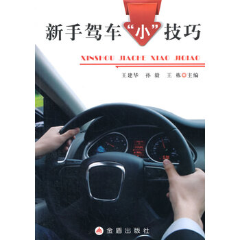 新手驾车“小”技巧 王建华,孙毅,王栋 9787508297064 金盾出版社