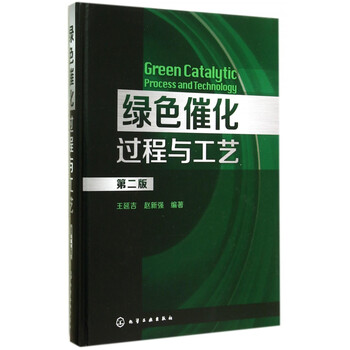 绿色催化过程与工艺(第2版)(精)