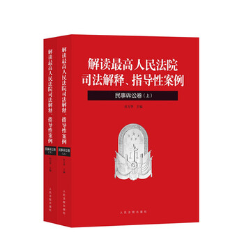 解读最高人民法院司法解释指导性案例：民事诉讼卷（套装上下卷）