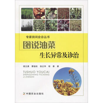 图说油菜生长异常及诊治