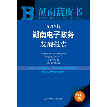 2016年湖南电子政务发展报告
