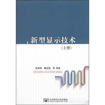 新型显示技术（上册）