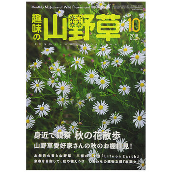 【包邮】【订阅】趣味山野草 植物杂志 日本日文 年订12期E357原版