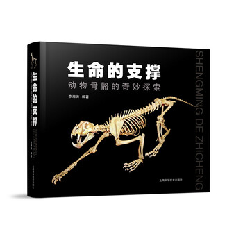 生命的支撑：动物骨骼的奇妙探索