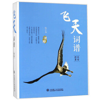 飞天词谱