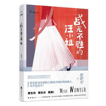 战无不胜的汪小姐 小说 书籍