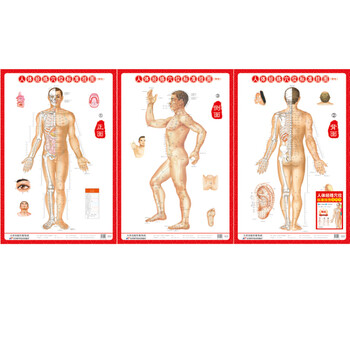 人体经络穴位标准挂图（套）（男性）（1套3张挂图）医学挂图用图 男性人体经络大挂图家用中医美体针灸艾
