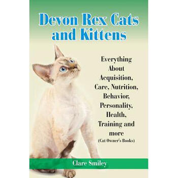 Devon Rex Cats and Kittens Everything about ...