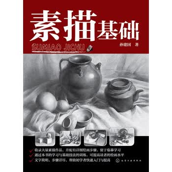 素描基础  孙建国 著