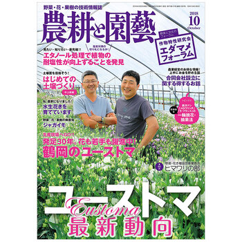 【包邮】【订阅】農耕と園芸 农业资讯杂志 日本日文 年订12期E356原版