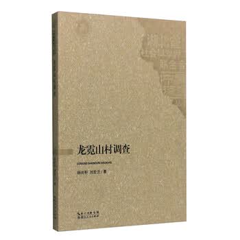 龙霓山村调查
