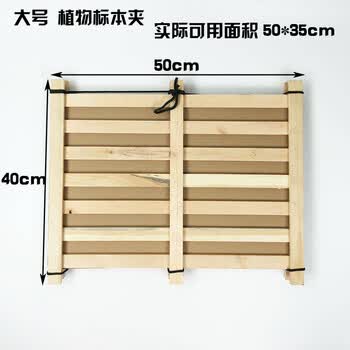 木制植物标本夹 木质标本制作材料 生物教学仪器 科学实验器材 大号 50*40cm（可用面积50*35cm）