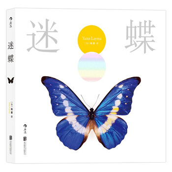 迷蝶