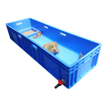 Buy Turtle Tank Extra large Open Turtle Plastic Farming Basin Box Pet ...