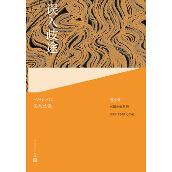 范小青长篇小说系列:误入歧途