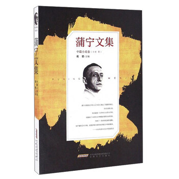 蒲宁文集（中篇小说卷 乡村 等）