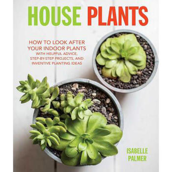 House Plants: How to Look After Your Indoor ...