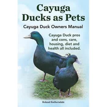Cayuga Ducks as Pets. Cayuga Duck Owners Man...