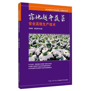 露地越冬蔬菜安全高效生产技术