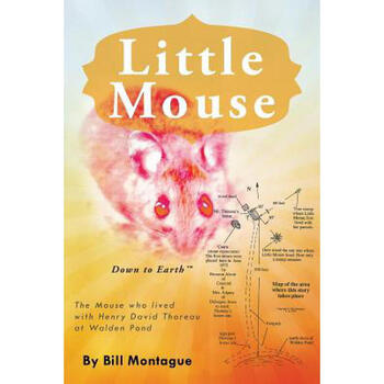 Little Mouse