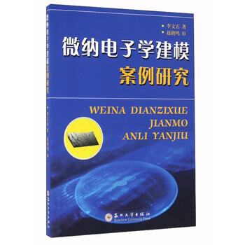 微纳电子学建模案例研究