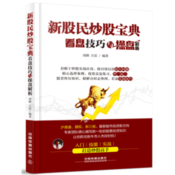 新股民炒股宝典：看盘技巧与操盘解析