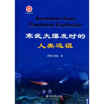 寒武大爆发时的人类远祖