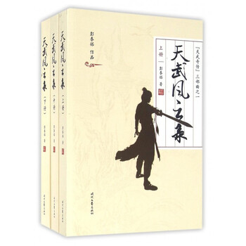 天武风云录(上中下)