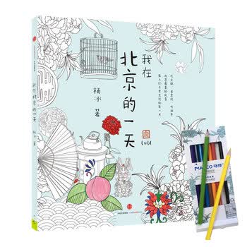 我在北京的一天 杨冰 著 中信出版社