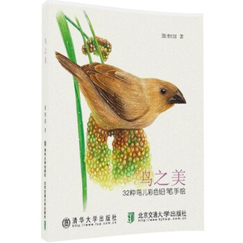 鸟之美