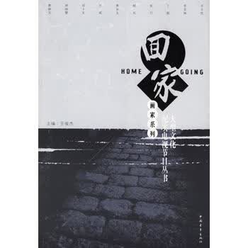 画家系列：大型文化纪实电视节目丛书