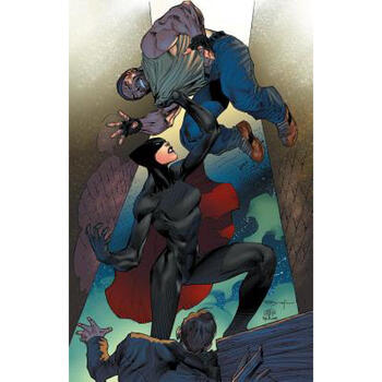 Miss Fury, Volume 2