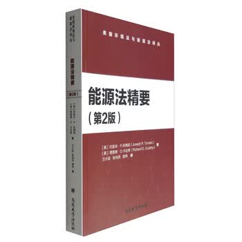 正版 能源法精要 9787310052318