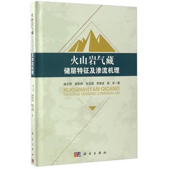 火山岩气藏储层特征及渗流机理