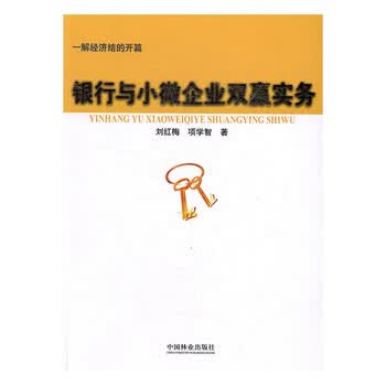 银行与小微企业双赢实务 金融与投资 书籍