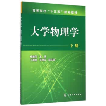 大学物理学(下高等学校十三五规划教材)