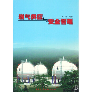 燃气供应与安全管理