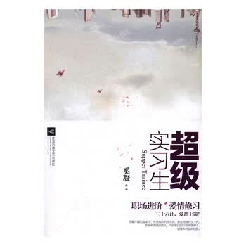 实习生 小说 书籍
