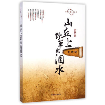 跨度长篇小说文库：山丘上野草的泪水