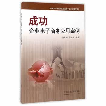 成功企业电子商务应用案例