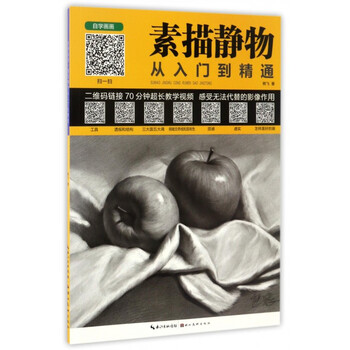 素描静物从入门到精通/自学画画