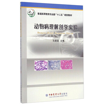 动物病理解剖学实验/普通高等教育农业部“十二五”规划教材