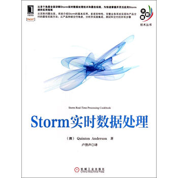 Storm实时数据处理/大数据技术丛书
