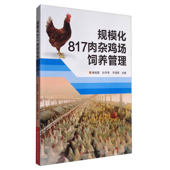 规模化817肉杂鸡场饲养管理