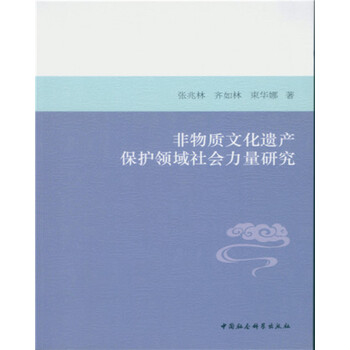 非物质文化遗产保护领域社会力量研究
