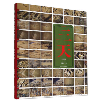 正版 三天:俯瞰~~:looking over Tibet9787550800632何俊杰著