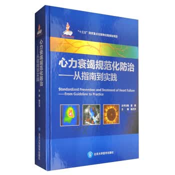 心力衰竭规范化防治：从指南到实践（国家出版基金项目八）
