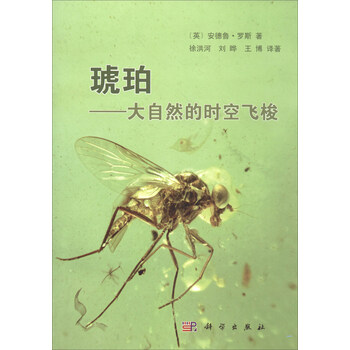 琥珀：大自然的时空飞梭